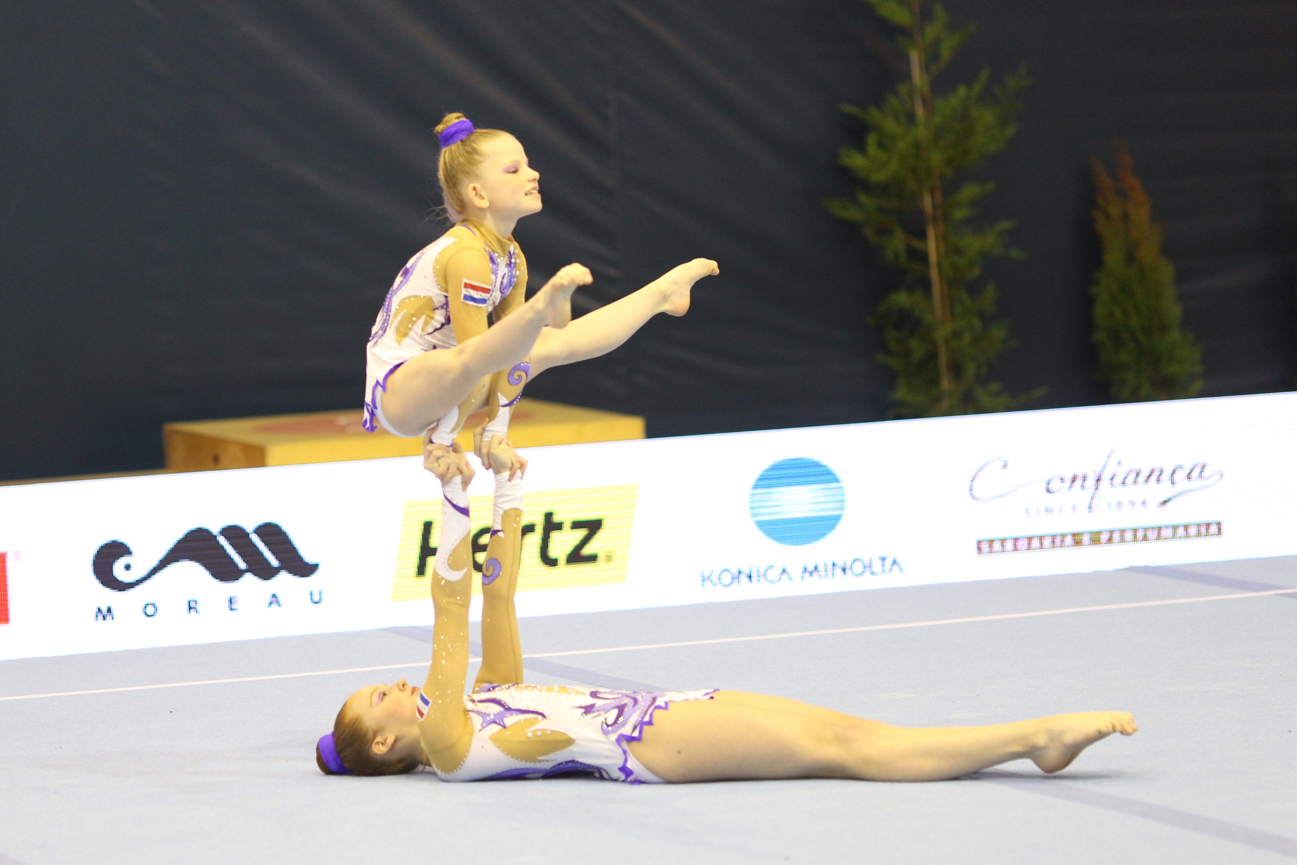 Home - Acro Academy Noord Nederland